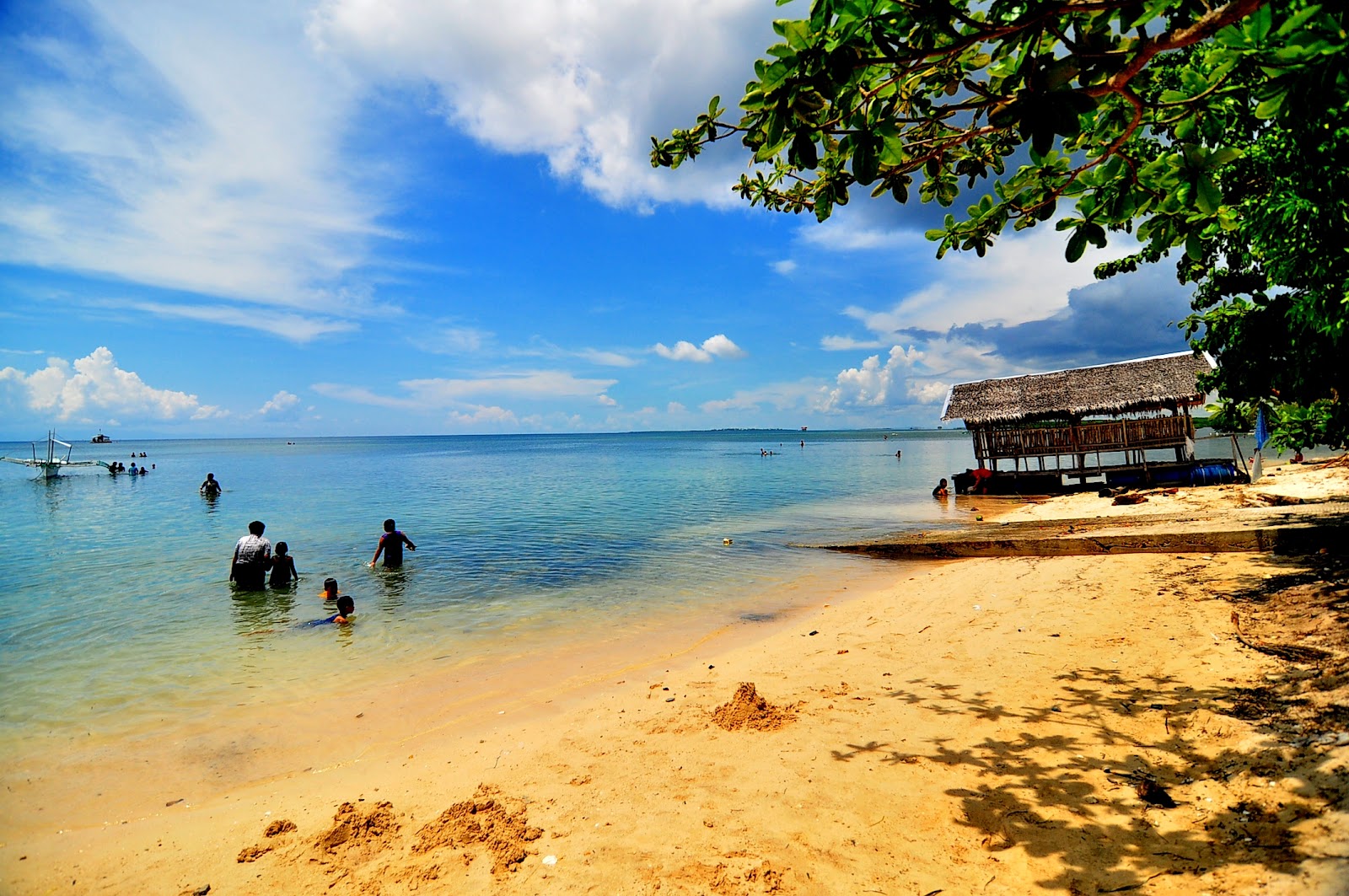 Philippines Travel Plan 🗺️ 20 days Manila to Cebu & Bohol