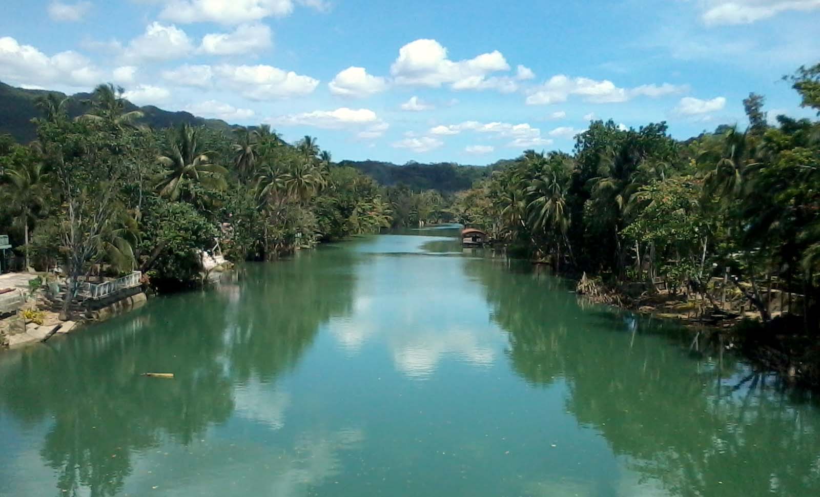 Loboc Bohol 🛶 Enjoy the beautiful river and lush paddyfields