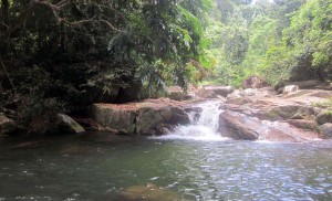 Into the Tioman Rainforest 🌴🐒🦋🏞️ Malaysia, in search of waterfalls...