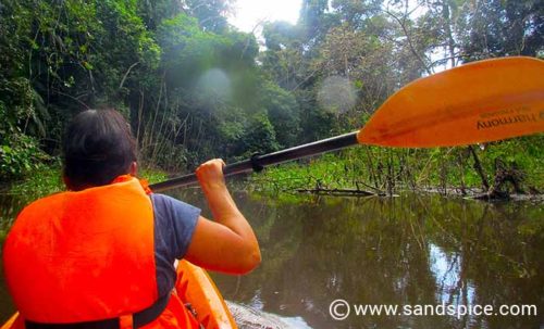 Panama Canal Kayaking 🛶 Jungle Land Experience