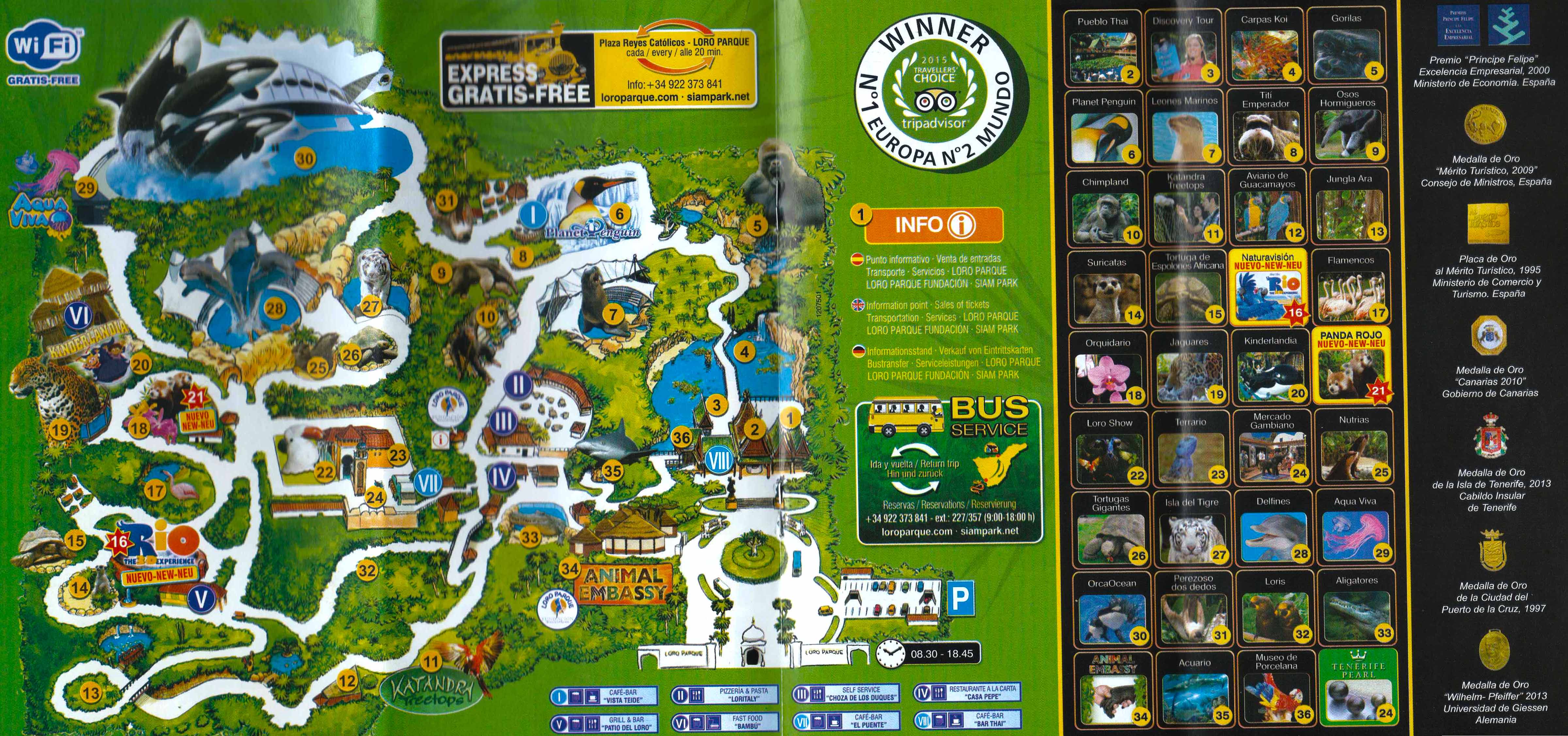 Loro Parque Tenerife More Than Just A Zoo In Puerto De La Cruz Loro Parque Tenerife More Than Just A Zoo In Puerto De La Cruz