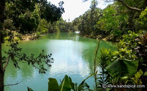 Loboc Bohol 🛶 Enjoy the beautiful river and lush paddyfields